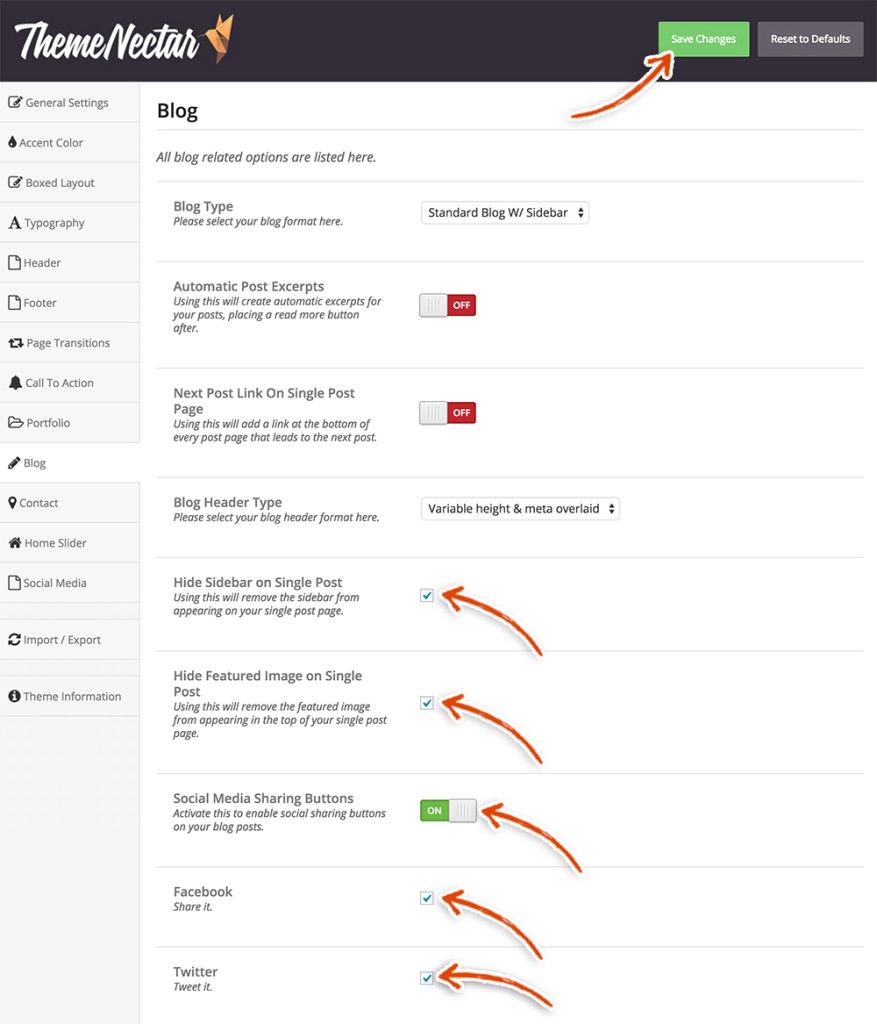 salient-theme-blog-settings-blog-launch-guide - WPLauncher