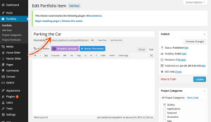 salient-theme-edit-portfolio-item-1 - WPLauncher